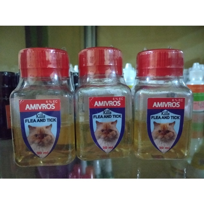 Jual OBAT TUNGAU KUTU & LARVA KUCING - AMIVROS CAT 30 ML - BASMI ...