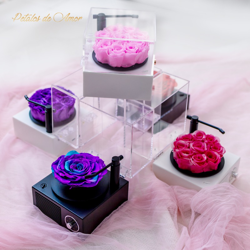 Jual Preserved 9 Roses Bluetooth Speaker Mini Box | Shopee Indonesia