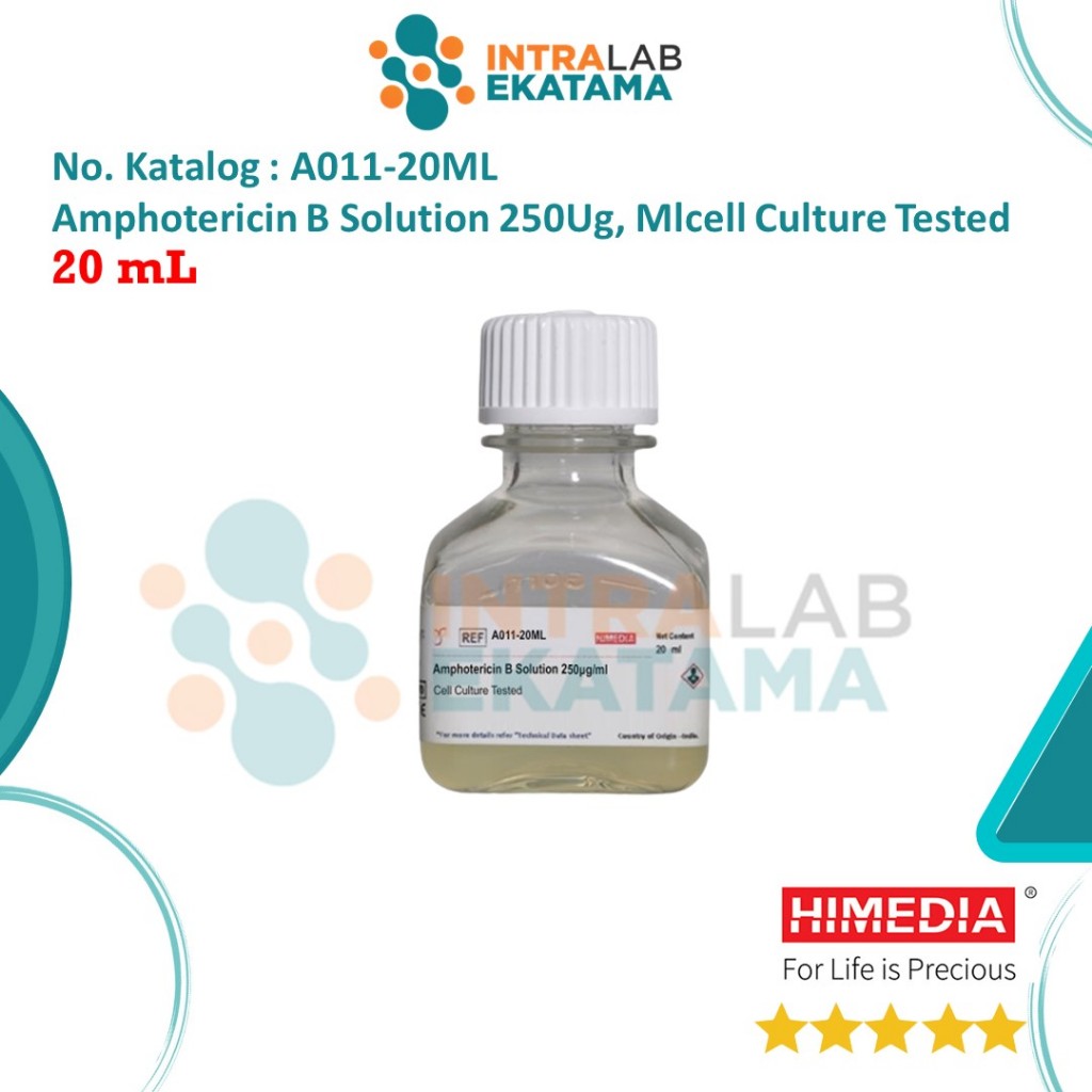 Jual A011-20ML Amphotericin B Solution 250Ug, Mlcell Culture Tested ...