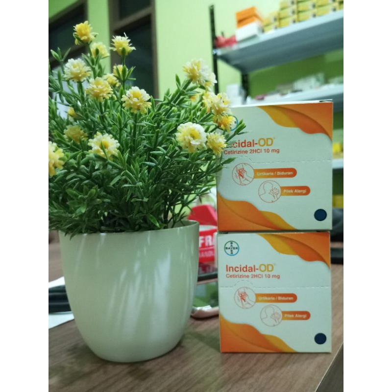 Jual INCIDAL-OD 10MG BOX 32 KAPSUL / OBAT ALERGI | Shopee Indonesia