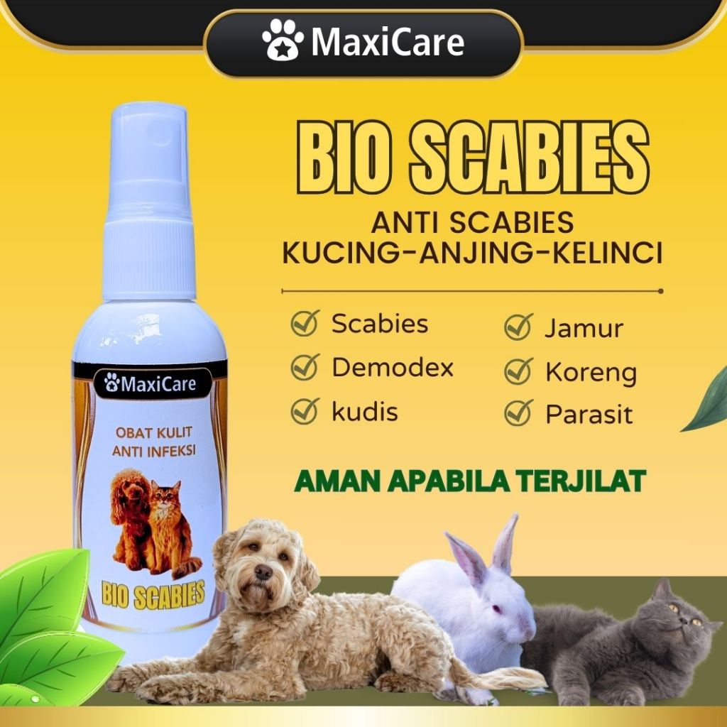 Jual Obat Scabies Anti Scabies Obat Jamur Ampuh Untuk Kucing Anjing ...