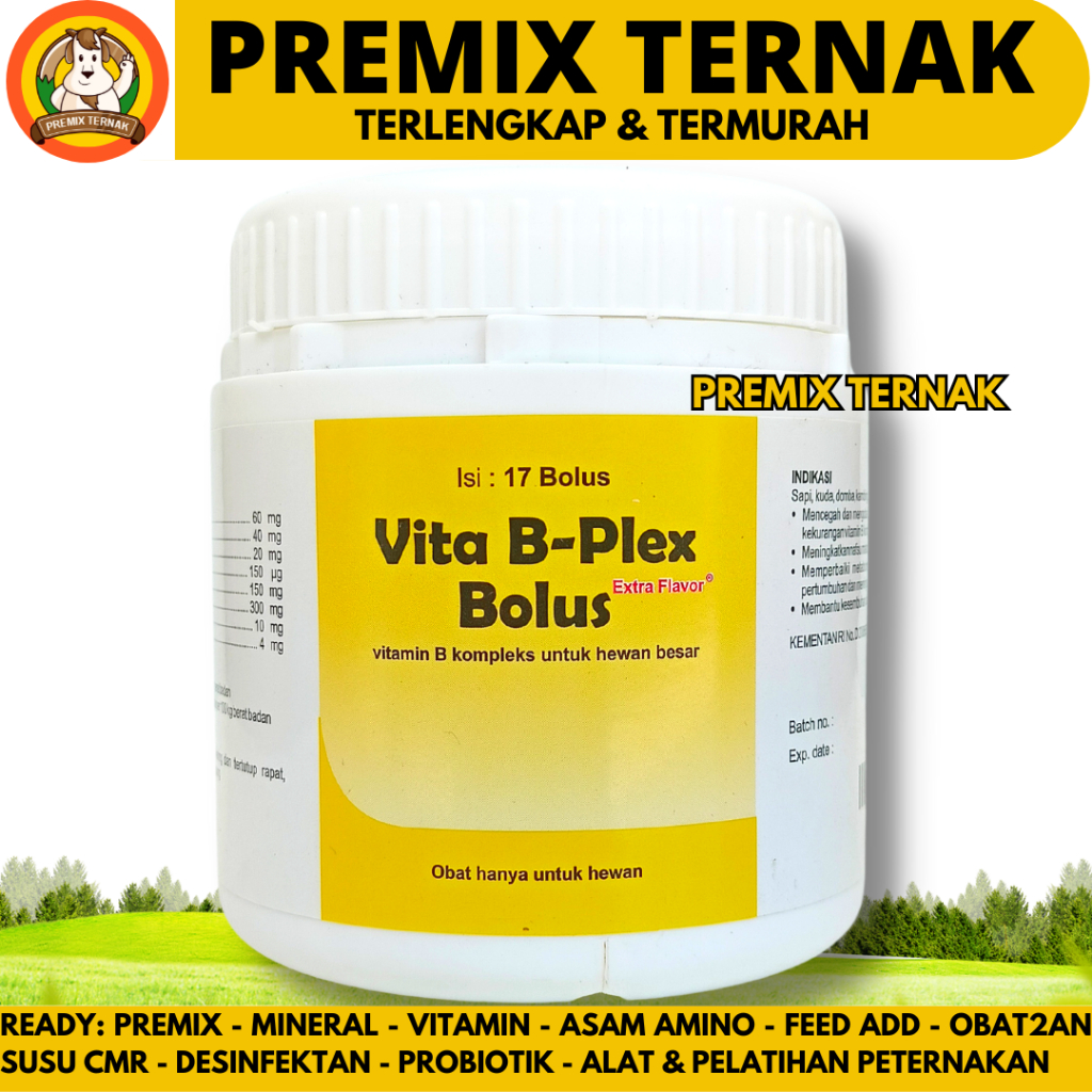 Jual VITA B PLEX BOLUS 1 POT (17 BOLUS) MEDION - Vitamin B Complex ...
