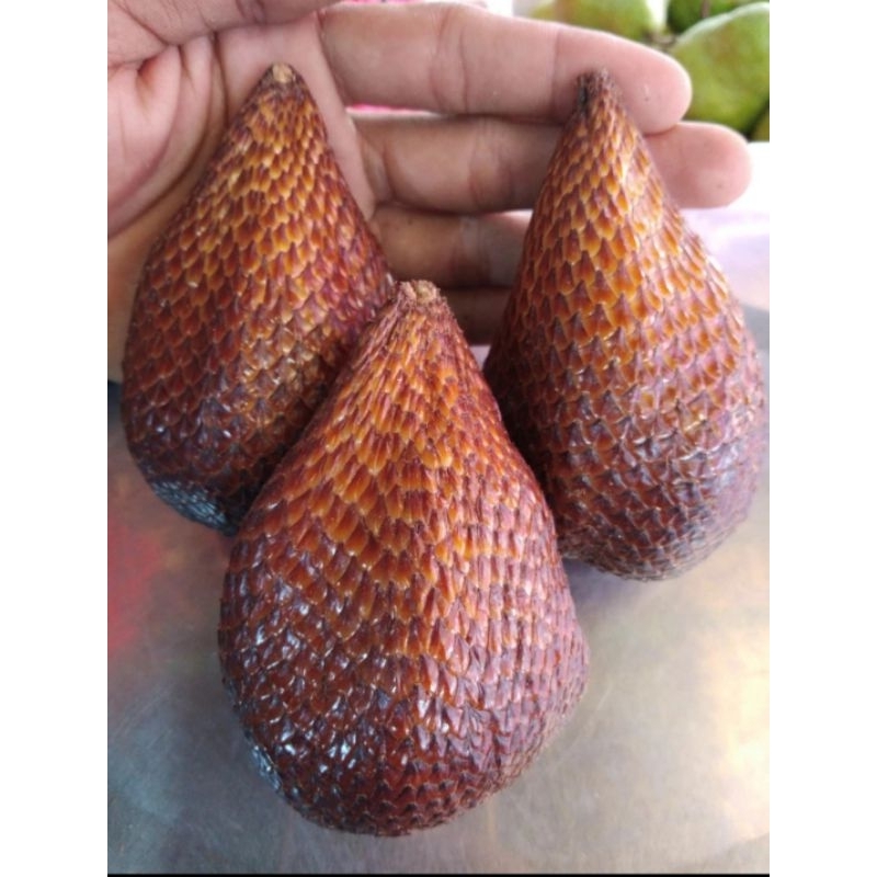 Jual salak pondoh superan 1 kg / buah salak pondoh 1 kg | Shopee Indonesia