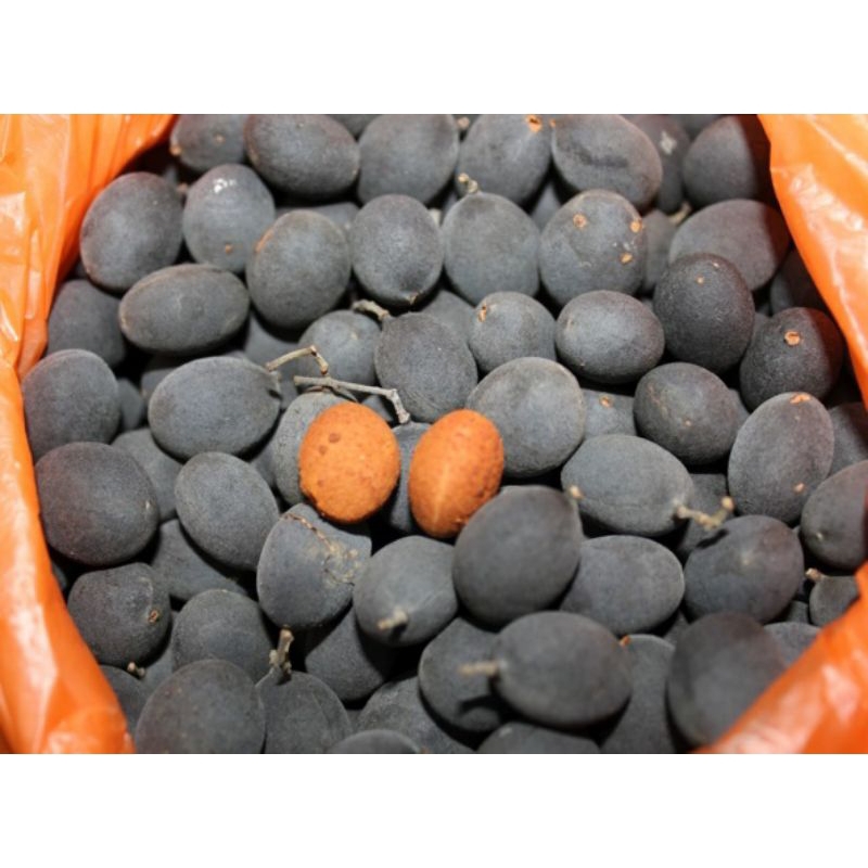 Jual Buah asem Keranji | 1 kg | Shopee Indonesia