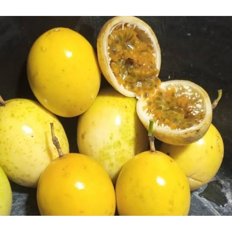 Jual Buah markisa kuning segar matang 500 gram | Shopee Indonesia