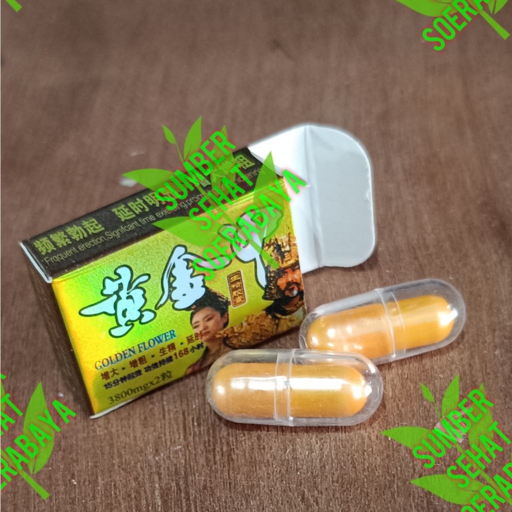 Jual golden flower golden selir kaisar kuning gold original kadar ...