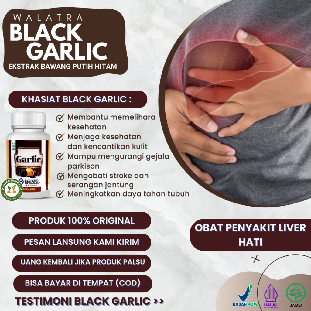 Jual Black Garlic 100% Original - Obat Liver Hati, Hepatitis A B C ...