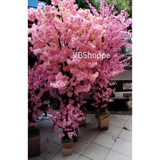 Jual pohon imlek mehwa angpao sakura BONUS aksesoris sincia vas bunga ...