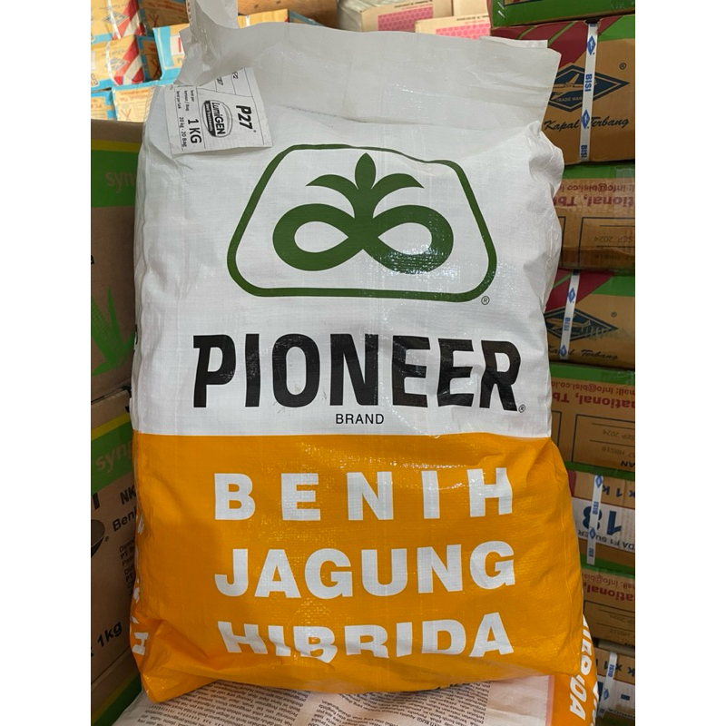 Jual bibit jagung p27 lumigen benih jagung pioner p27 lumigen 1kg ...