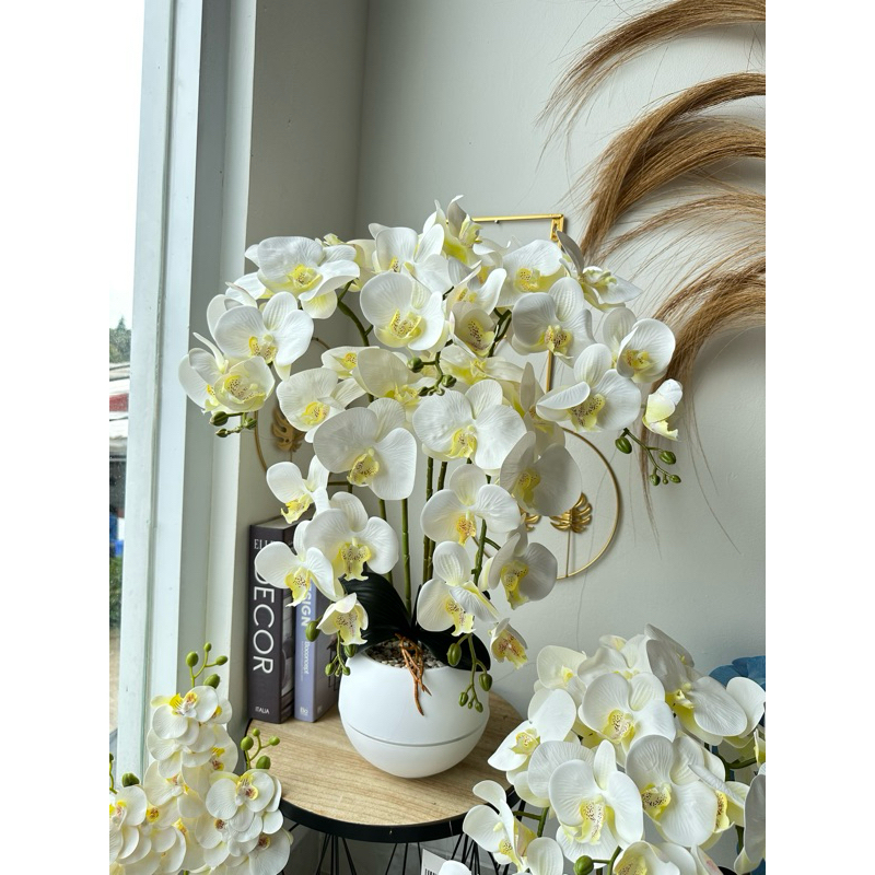 Jual Bunga anggrek cabang 5 super rimbun dengan vas bola | Shopee Indonesia