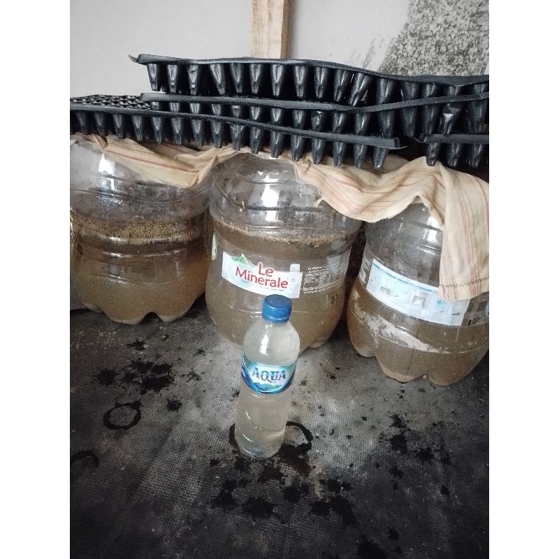 Jual AIR JAKABA 600 Mg YG SIAP DI APLIKASIKAN PADA TANAMAN | Shopee ...