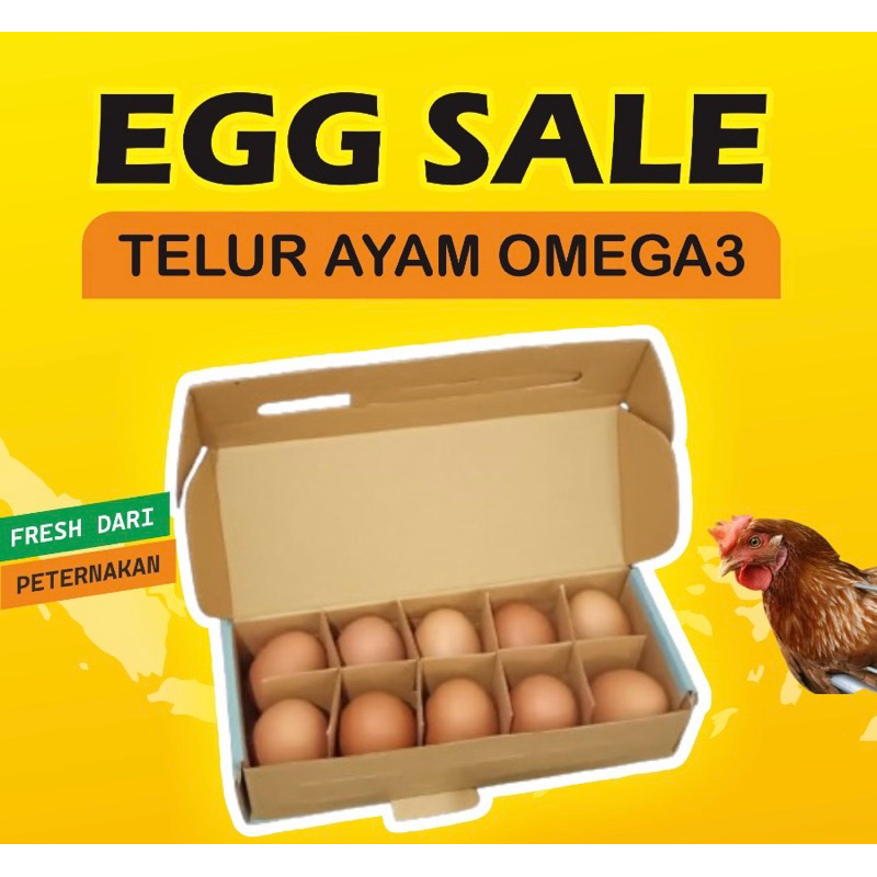 Jual TELUR OMEGA 3 FRESH 1 BOX (10 butir) | Shopee Indonesia
