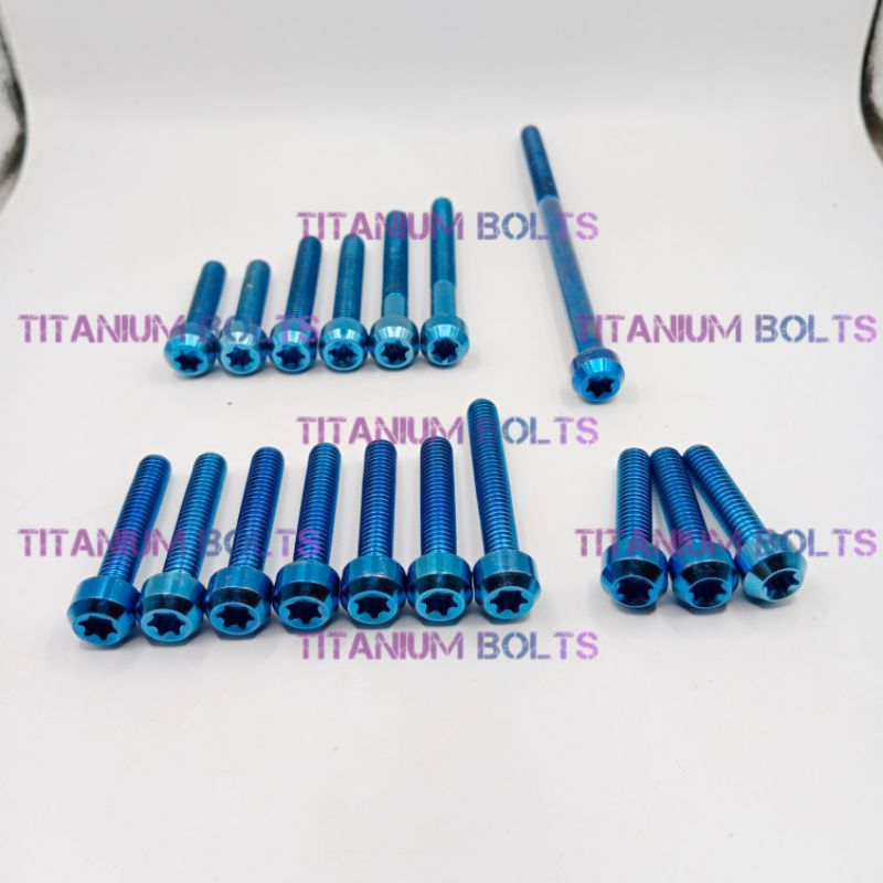 Jual Baut Titanium Blok Kanan Kiri Yamaha Alfa / Sigma Titanium Bolts GR5 | Shopee Indonesia