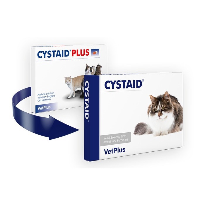 Jual Cystaid Plus 1 strip isi 30 kapsul - Obat Saluran Kemih Kucing ...