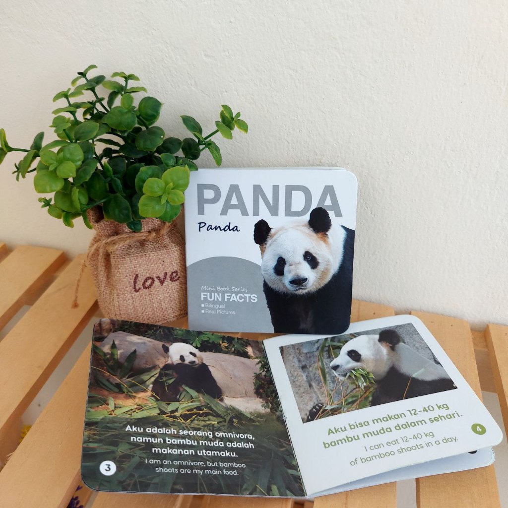 Jual SK MINI BOOK FUN FACT - Buku Pengenalan Pengetahuan Anak Bayi ...