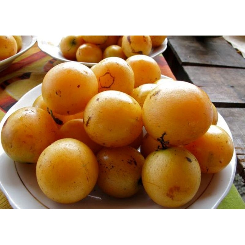 Jual Jatake atau Gandaria original kampung per 500gr | Shopee Indonesia