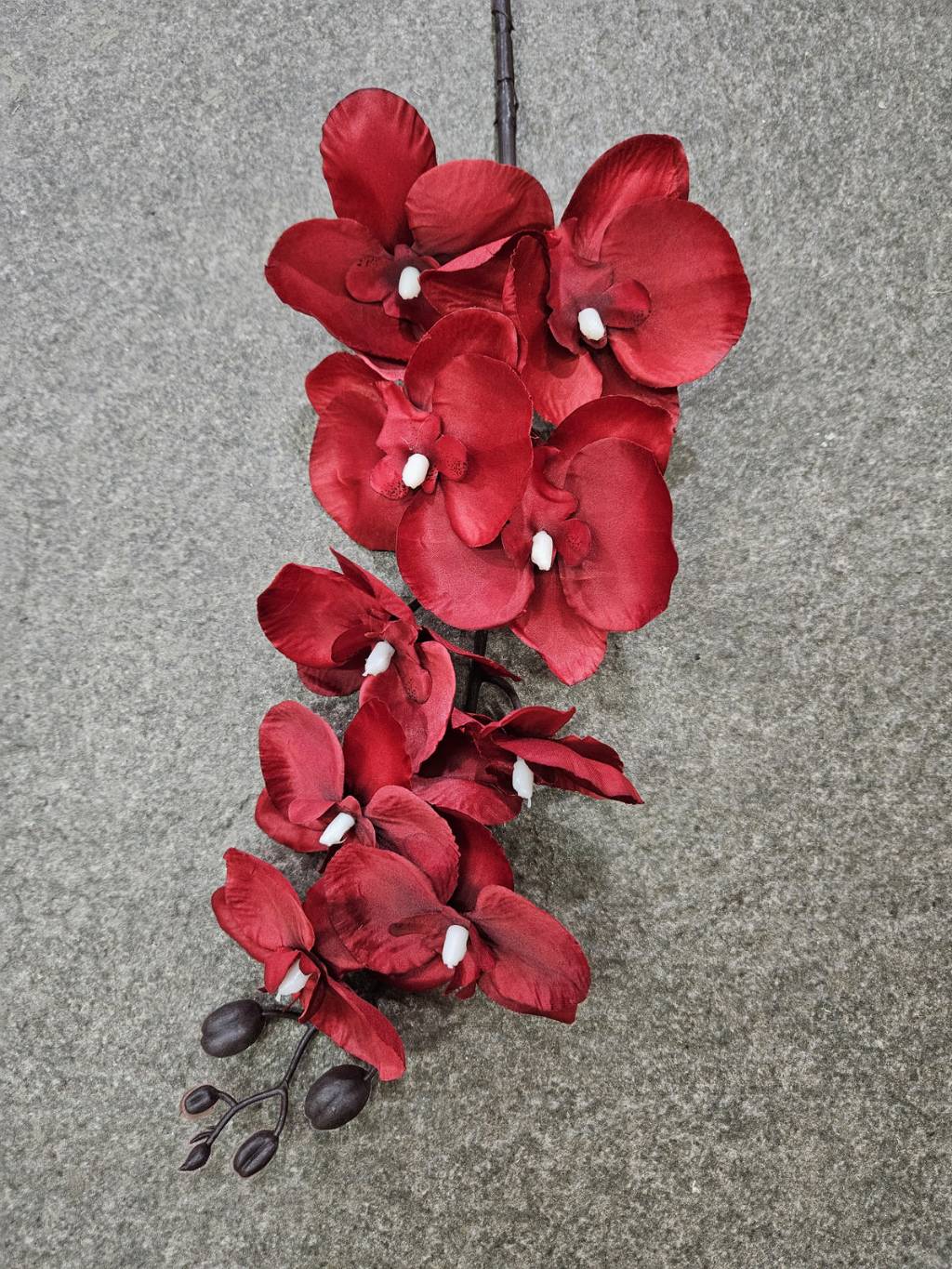 Jual Bunga Anggrek Bulan X9 / Orchid Artificial | Shopee Indonesia