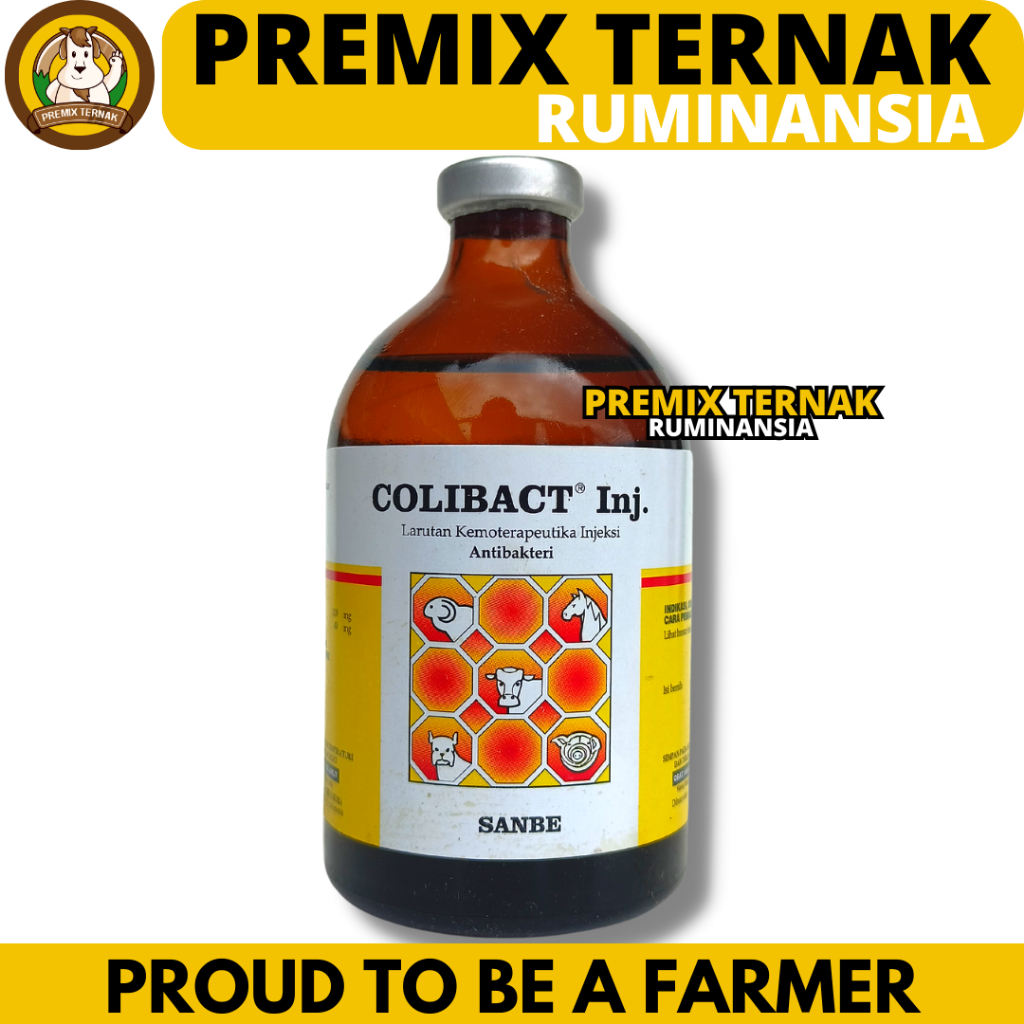 Jual COLIBACT INJEKSI 100ML SANBE - Obat Antibiotik Hewan Mencret Diare ...