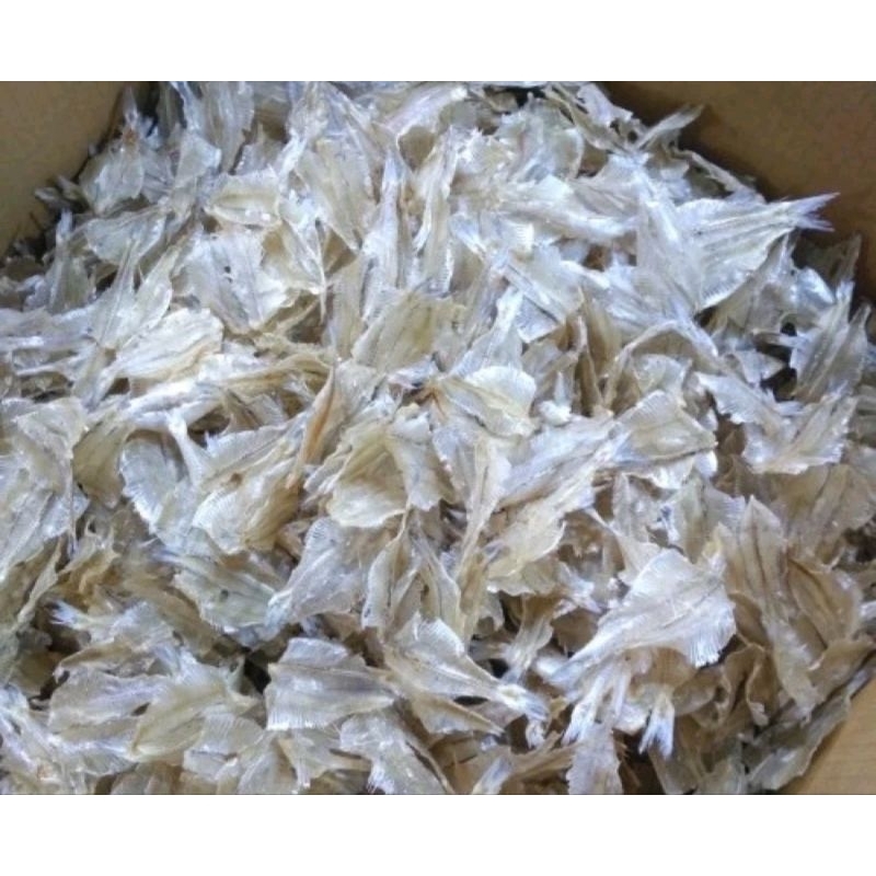 Jual IKAN PAKANG TIPIS RASA TAWAR / TIMBANGAN ENTENG JD ISI BANYAK ...