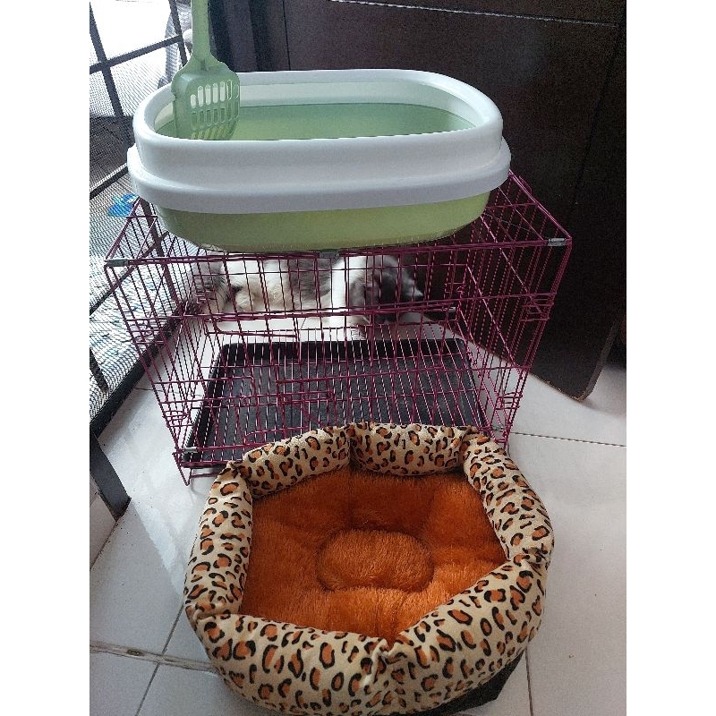 Jual preloved satu paket peralatan kucing (kandang,litter box,kasur ...