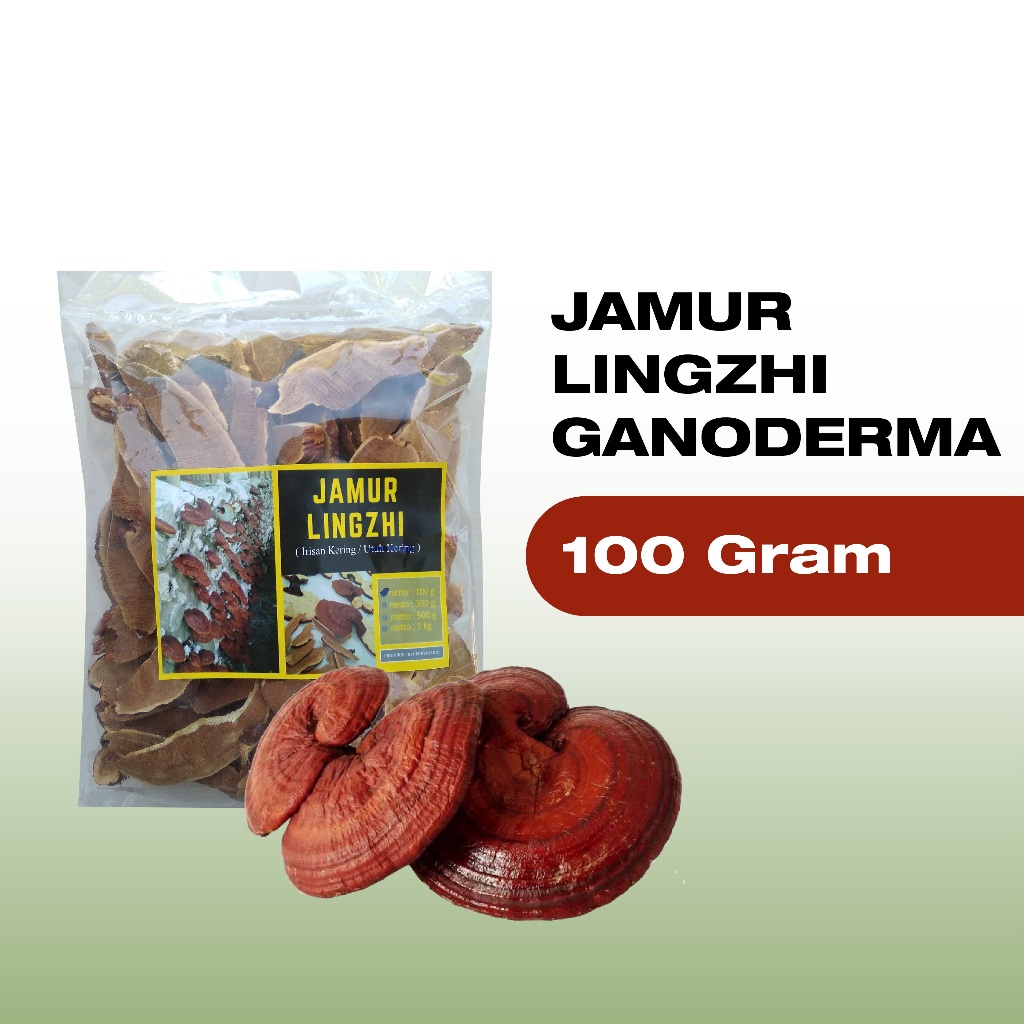 Jual Jamur Lingzhi Ling Zhi Ganoderma Lucidum Kering 100 gram | Shopee ...
