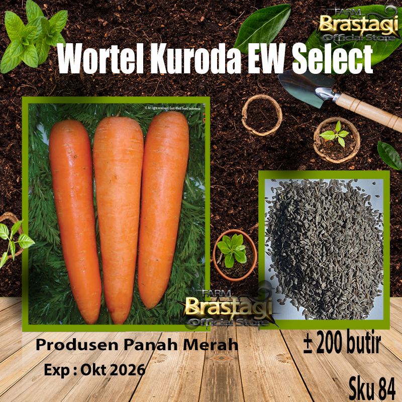 Jual FBTG - 200 Benih Wortel Besar Kuroda EW Select Wartel - Cap Panah ...