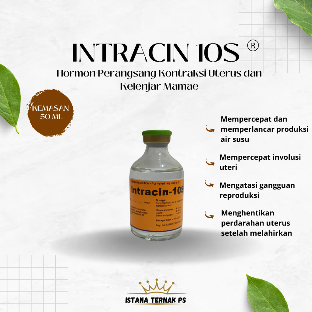 Jual Intracin 10S @50 ml. Hormon Prangsang Kontraksi Uterus dan Kelenjar Mamae pada Ternak ...