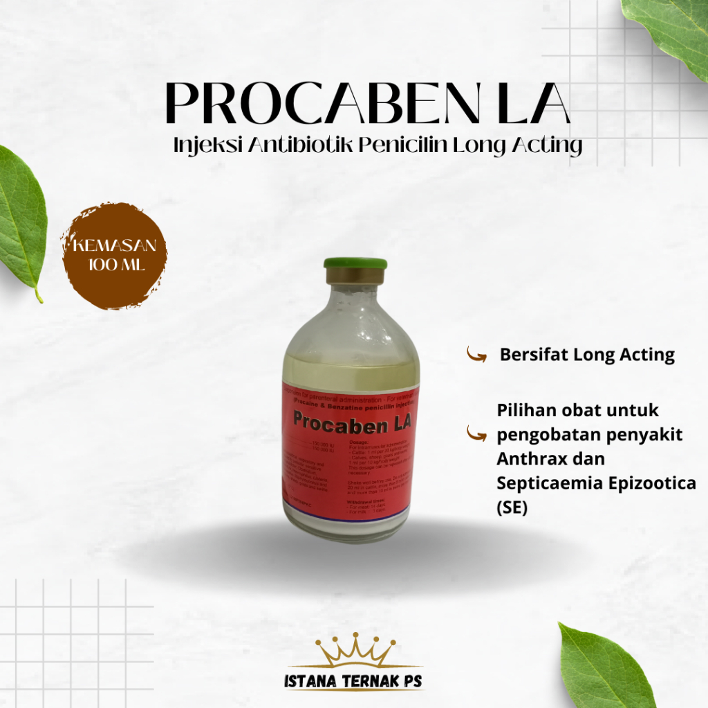 Jual Procaben LA 100 ml pengganti PENSTREP 400- Antibiotik Injeksi ...