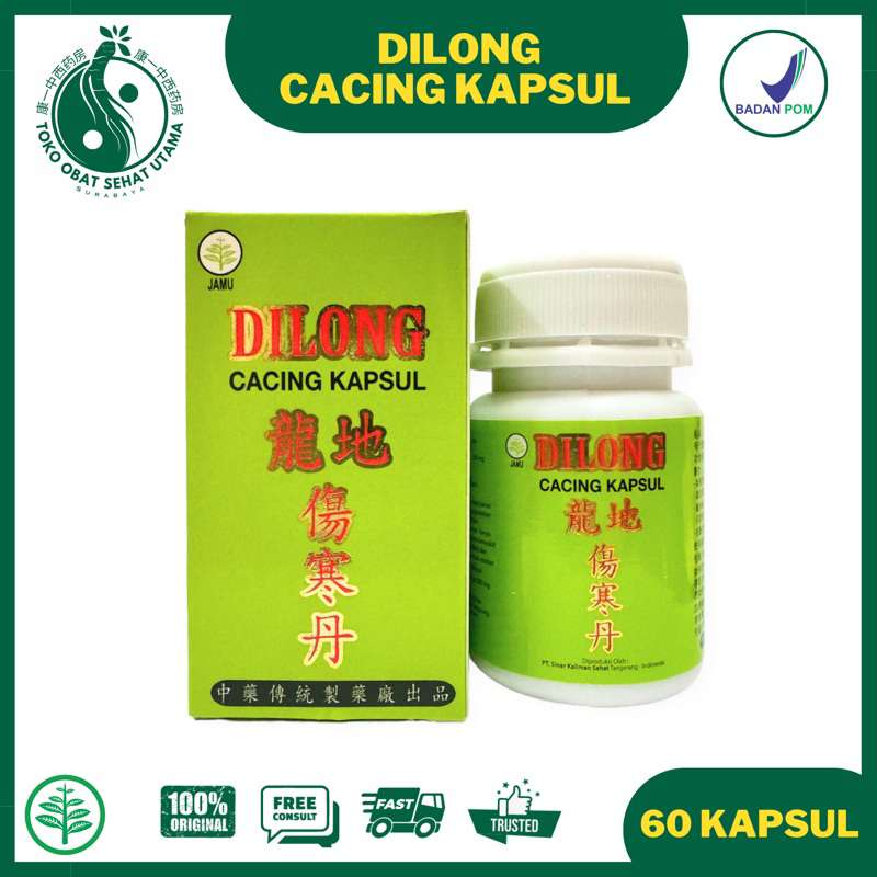 Jual DILONG CACING KAPSUL / 60 KAPSUL / Obat Tipes / Di Long Tifus ...