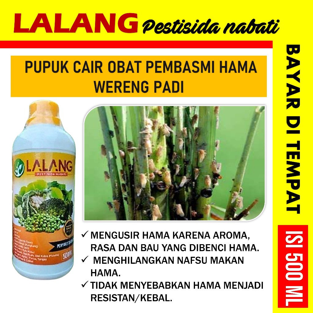 Jual Promo LALANG 500ml Pestisida Organik Obat Hama Wereng Coklat Pada ...