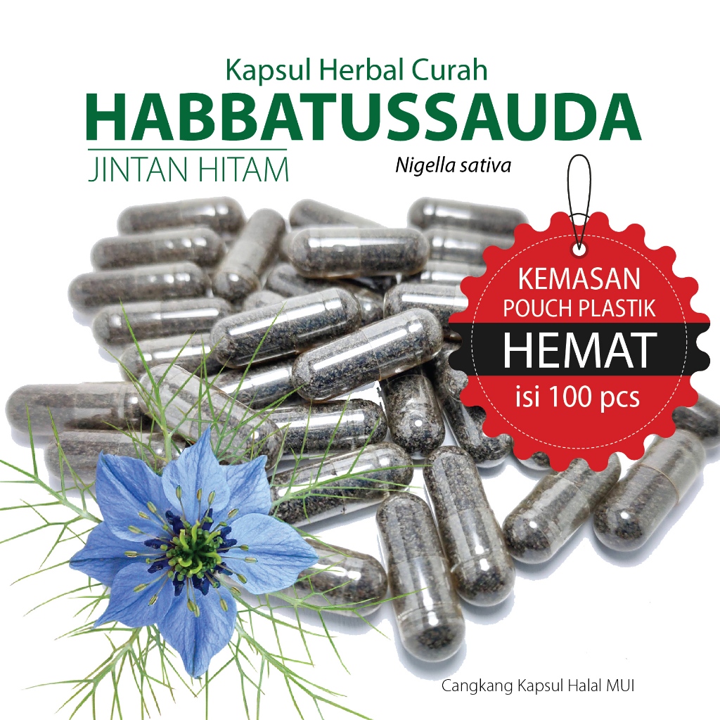 Jual HABBATUSSAUDA / JINTAN HITAM Kapsul Herbal Kemasan Hemat – Isi 100 ...