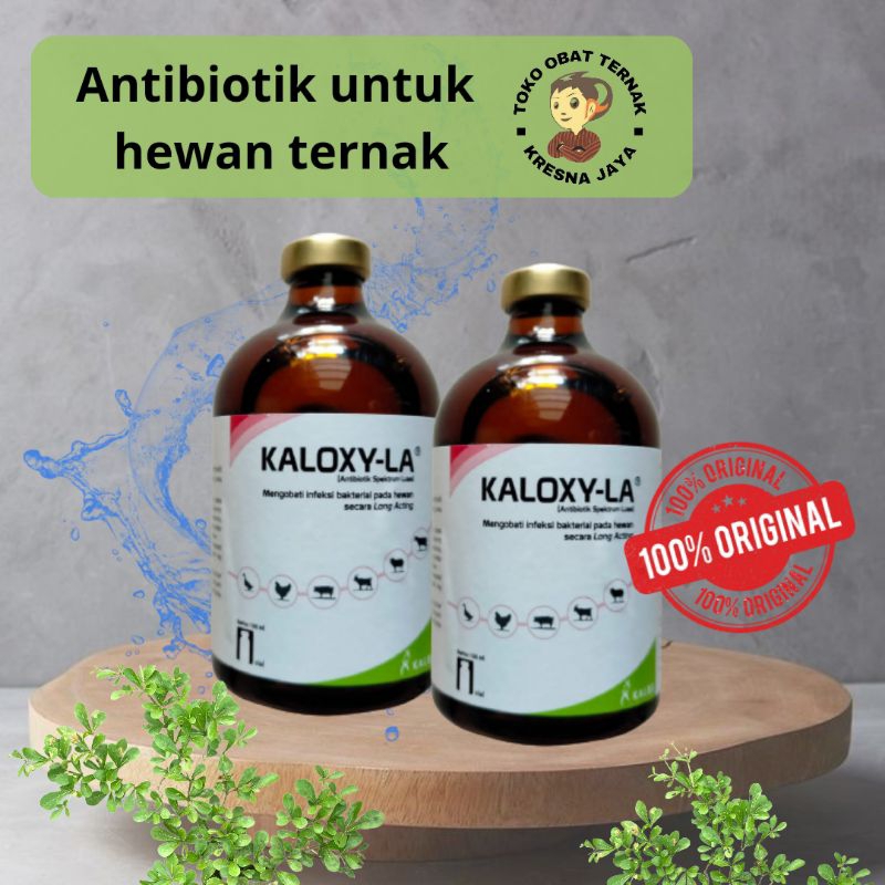 Jual Kaloxy LA(OTC LA) | Shopee Indonesia