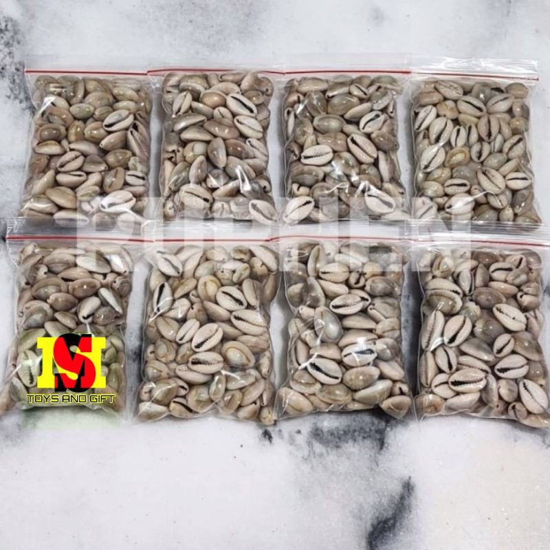 Jual BIJI BEKEL / BIJI KERANG ASLI 100 GRAM / KUWUK / KWUK / KUWUK ...