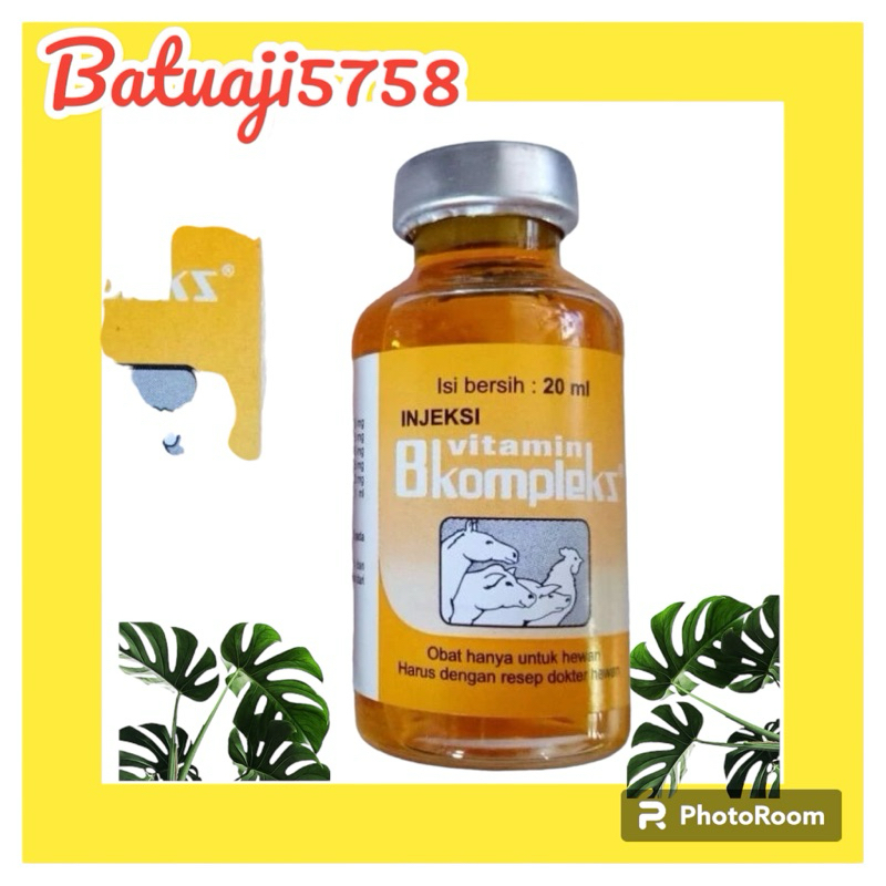 Jual B Complex Injek 20ml/Multivitamin Penambah Nafsu Makan | Shopee ...