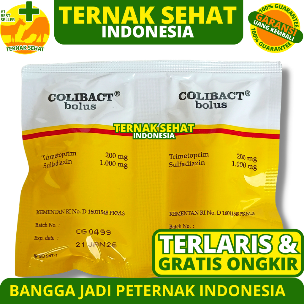 Jual COLIBACT BOLUS 1 BOLUS SANBE - Obat Infeksi Pencernaan dan ...