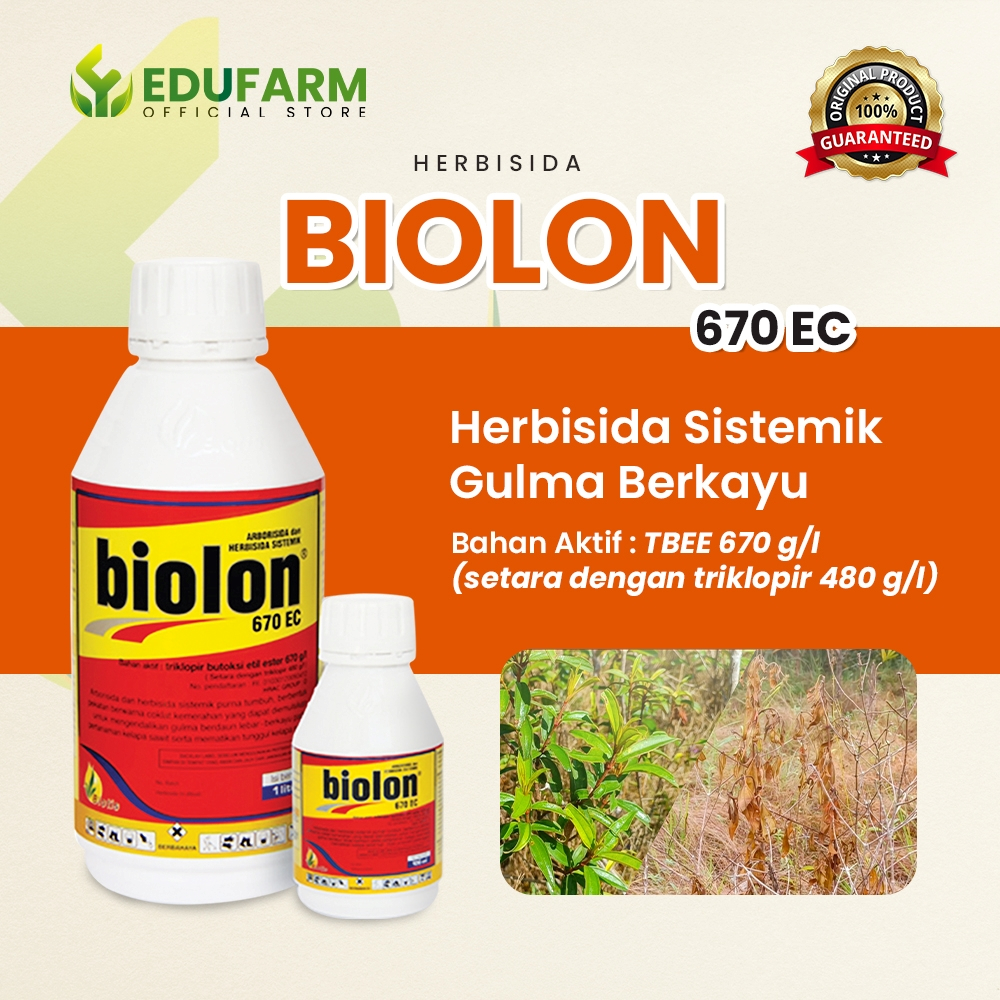 Jual BIOLON 670 EC - Herbisida Obat Rumput Sistemik Triklopir Untuk ...