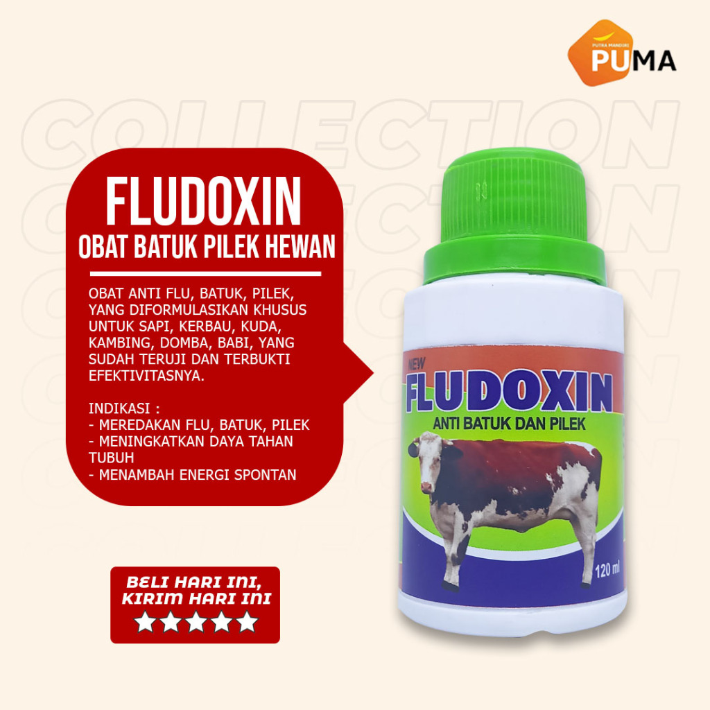 Jual FLUDOXIN OBAT ANTI BATUK & PILEK REBUNG OBAT ANTI DIARE HEWAN SAPI ...