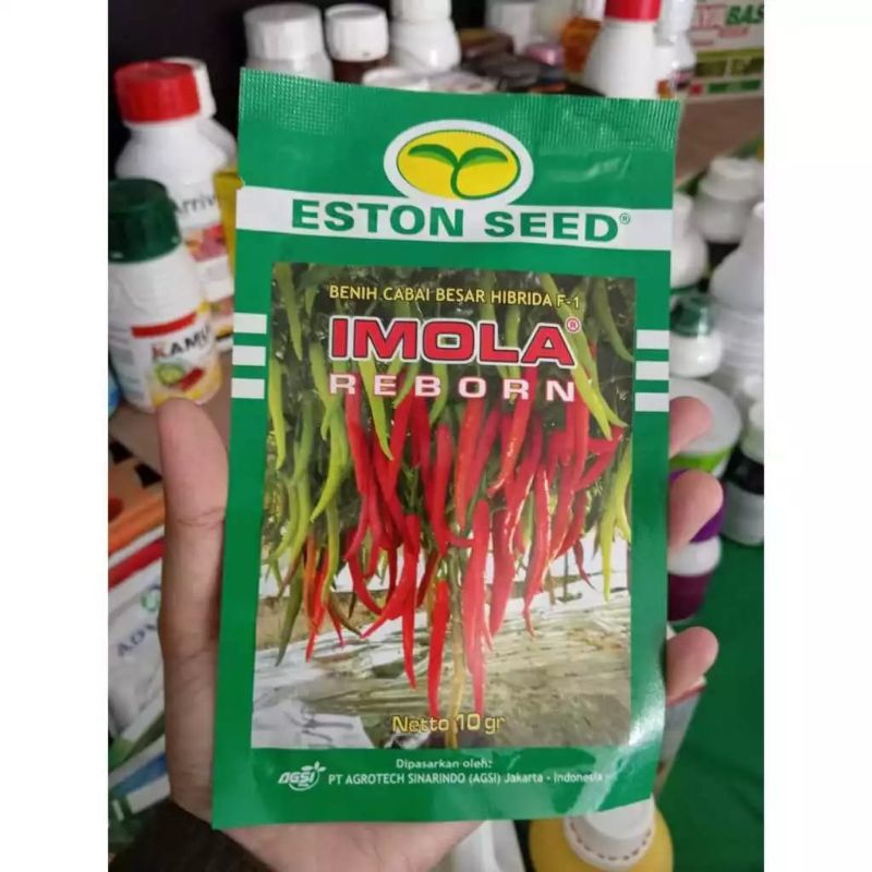 Jual Benih bibit Cabe merah IMOLA REBORN F1 10 gram | Shopee Indonesia