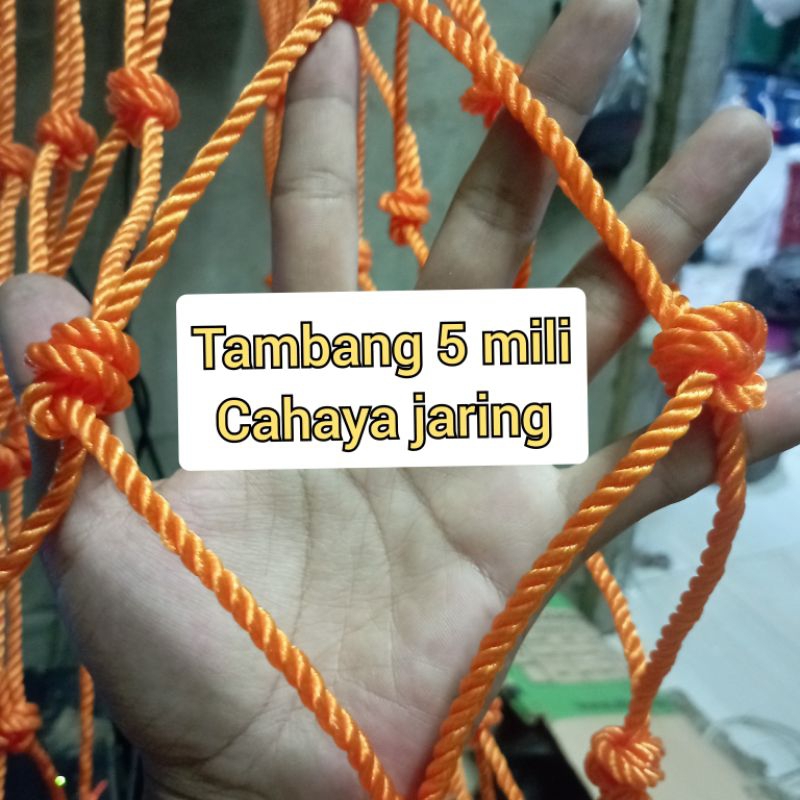 Jual Jaring Tutup Sawit 5 Mili 10cm x 10cm 4x6 Meter / Jaring Penutup ...