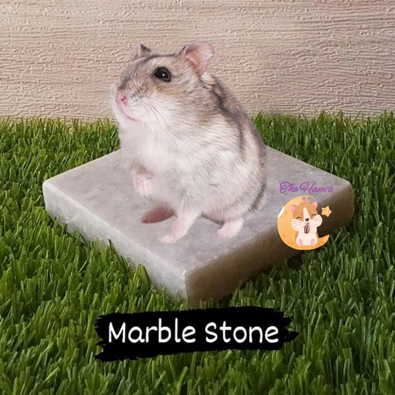 Jual (The Ham's) COOLING PAD HAMSTER MARBLE MARMER ALAS TIDUR PENYEJUK ...