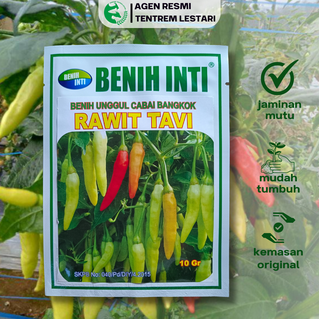 Jual Benih Cabe Rawit Tavi 10 gram Asli Cap Benih Inti | Shopee Indonesia