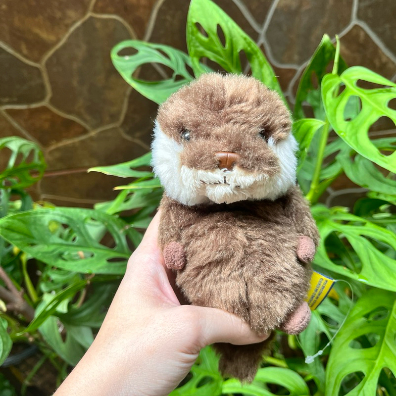 Jual BONEKA SUNLEMON ORIGINAL - Quokka Otter animal plush purse wallet | Shopee Indonesia