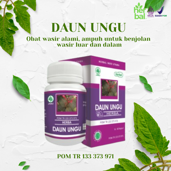 Jual Toko suplemen kesehatan obat pil kapsul DAUN UNGU wasiri ambeven ambeno obat herbal plus ...