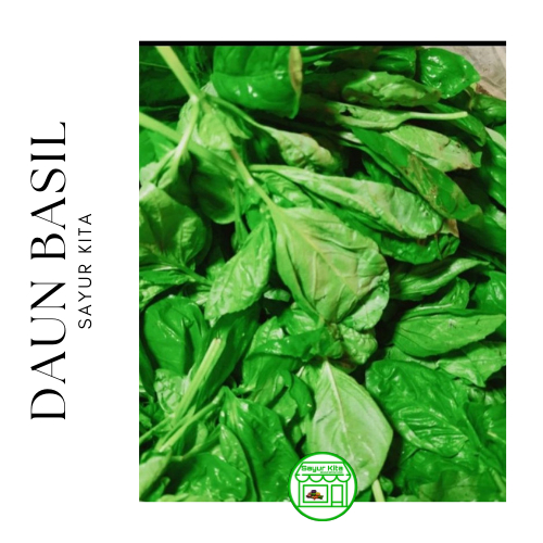 Jual Daun Basil 500 gram | Shopee Indonesia