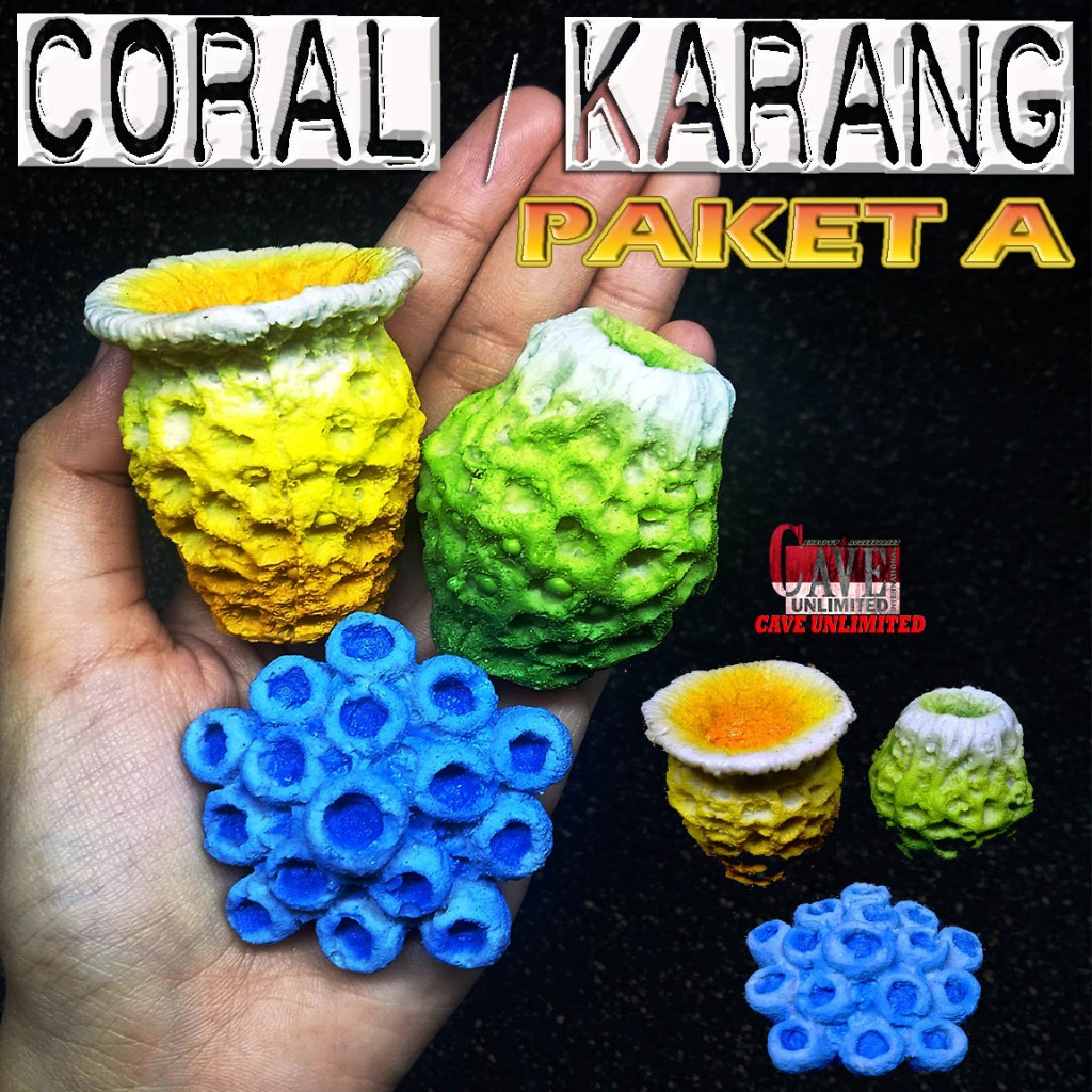 Jual PAKET A ANEMON LAUT KARANG RESIN SEPAKET HIASAN DEKORASI AKSESORIS ...