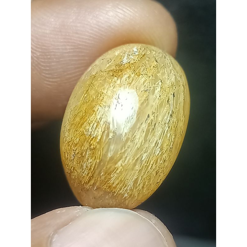 Jual Batu Posil Pohon Kelapa | Shopee Indonesia