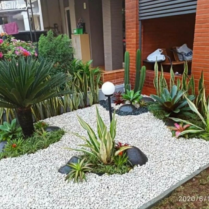 Jual Taman Batu Tabur - Taman Batu koral minimalis | Shopee Indonesia