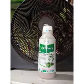 Jual Serenade Terlengkap & Harga Terbaru Juni 2024 | Shopee Indonesia