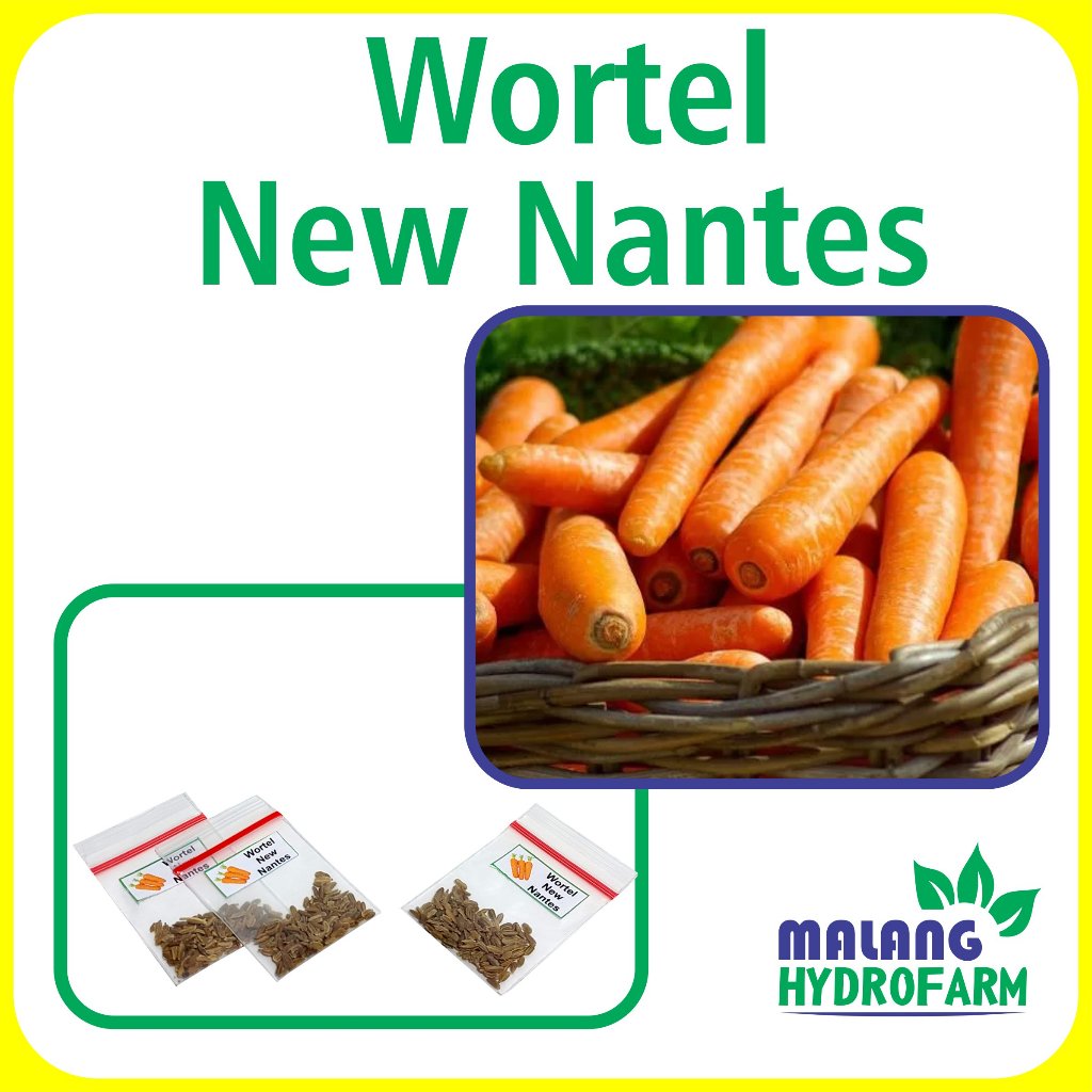 Jual Benih Wortel New Nantes Carrot Repack Ta Fung bibit biji ...