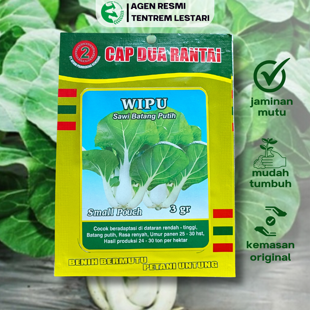 Jual Benih Biji Sawi Batang Putih WIPU 3 gr Sawi Daging Kemasan Ori Cap ...